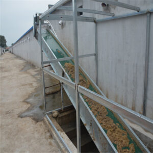 Poultry Manure Removal System - Livi Battery Chicken Cage And Poultry ...