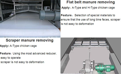 Poultry Manure Removal System - Livi Battery Chicken Cage And Poultry ...